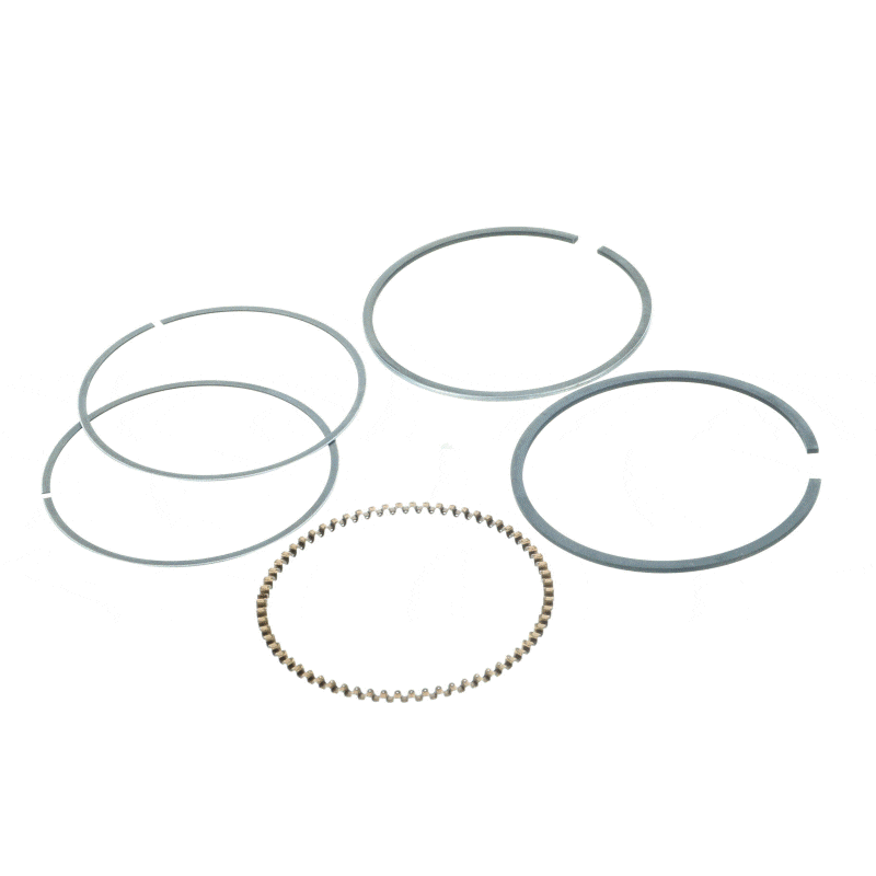 500-229 Piston Rings STD